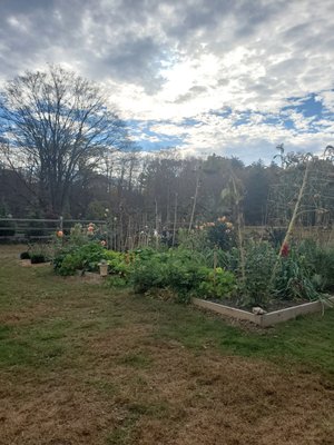 JULIEN’S FARM STORE - Updated April 2024 - 20 Photos - 175 Barn Door ...