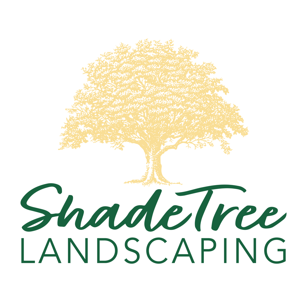 SHADE TREE LANDSCAPING - Updated May 2026 - Richardson, Texas - Tree ...