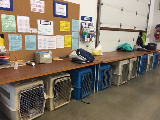 SPOKANE DOG TRAINING CLUB - Updated January 2026 - 2620 N Locust Rd ...