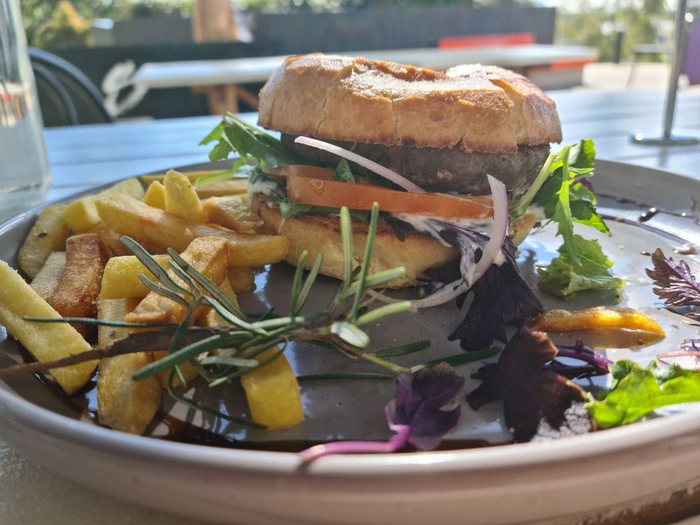 SAGE - Updated November 2024 - 51 Barry Alexander Dr, Springfield ...