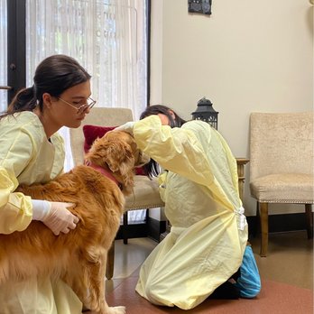 PETS R FAMILY VETERINARY HOSPITAL - Updated October 2025 - 43 Reviews ...