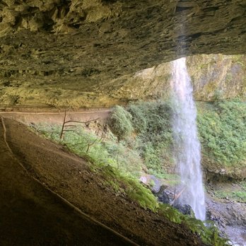 SILVER FALLS STATE PARK - Updated May 2025 - 1609 Photos & 337 Reviews ...
