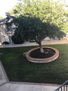 MADISON GROVE POST ACUTE - Updated January 2026 - 73 Photos & 69 ...