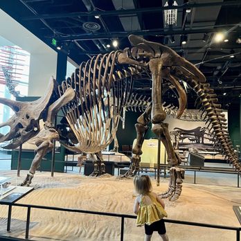 SCIENCE MUSEUM OF MINNESOTA - Updated December 2025 - 260 Photos & 206 ...