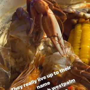 PIER 8 SEAFOOD BAR & GRILL - Updated June 2025 - 31 Photos & 31 Reviews ...