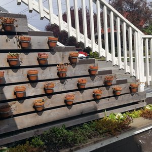 BALLARD ELKS LODGE NO 827 - Updated May 2024 - 29 Photos - 6411 Seaview ...