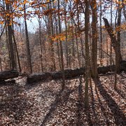 ELACHEE NATURE SCIENCE CENTER - 59 Photos & 11 Reviews - 2125 Elachee ...