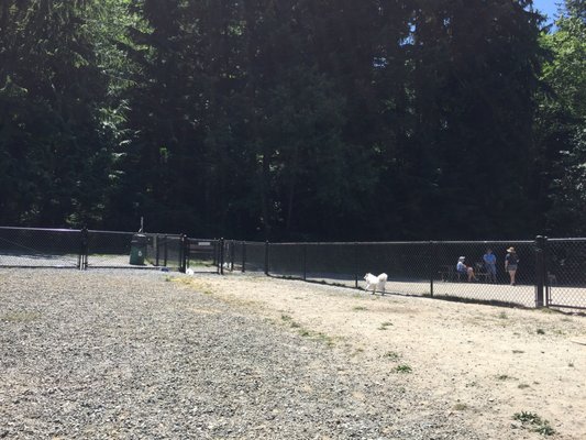 LYNNDALE OFF LEASH DOG AREA - Updated August 2025 - 14 Reviews - 7524 ...