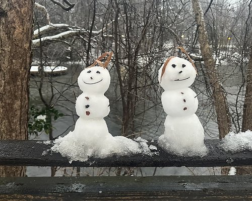 THE UPS STORE - Updated January 2026 - 20 Photos - 572 Hank Aaron Dr SE ...