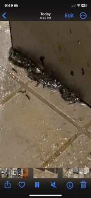 GOODLIFE FITNESS - Updated December 2025 - 28 Photos & 92 Reviews - 137 ...