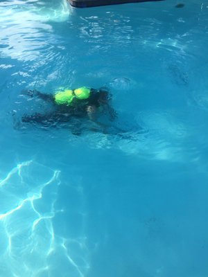 SHIPLEY POOL SERVICE - Updated December 2025 - 17 Photos & 16 Reviews ...