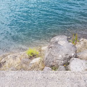 COWLITZ TIMBER TRAILS ASSOC - Updated August 2025 - 1988 Spencer Rd ...