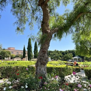 BRESSI RANCH VILLAGE CENTER - Updated October 2025 - 29 Photos & 14 ...