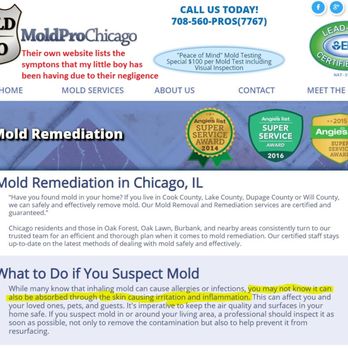 MOLD PRO CHICAGO - Updated December 2025 - 83 Photos & 52 Reviews ...