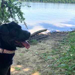 ALGONKIAN REGIONAL PARK AND GOLF COURSE - 73 Photos & 38 Reviews ...