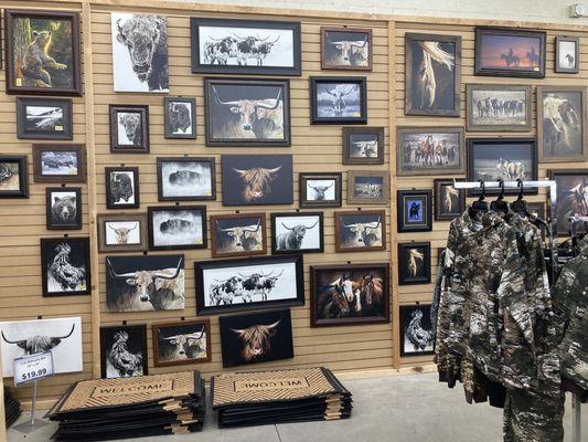 C-A-L RANCH STORES - Updated June 2024 - 37 Photos & 14 Reviews - 3400 ...