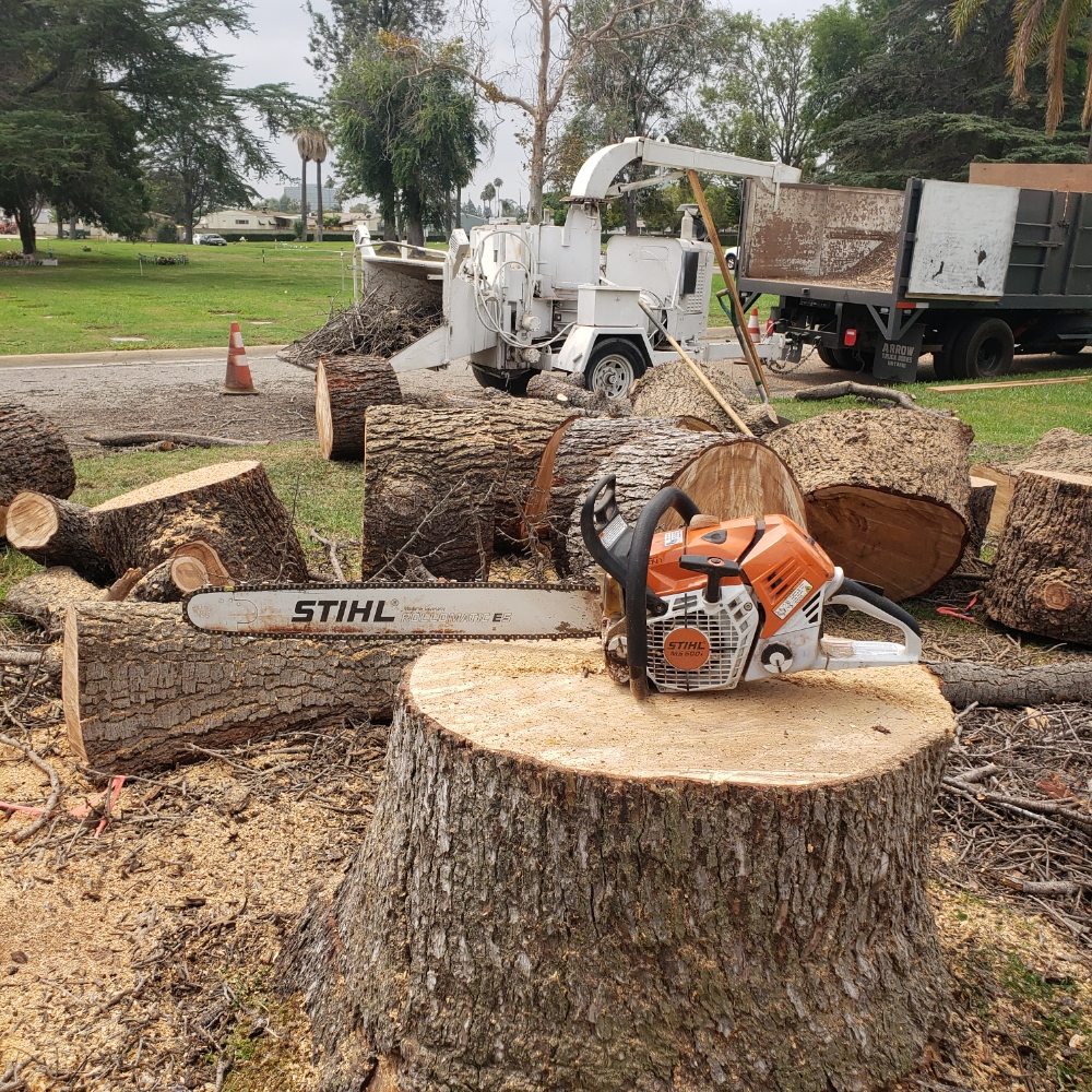 TIMBERLINE TREE WORKS - Updated March 2025 - 17 Photos - 9881 Redwood ...