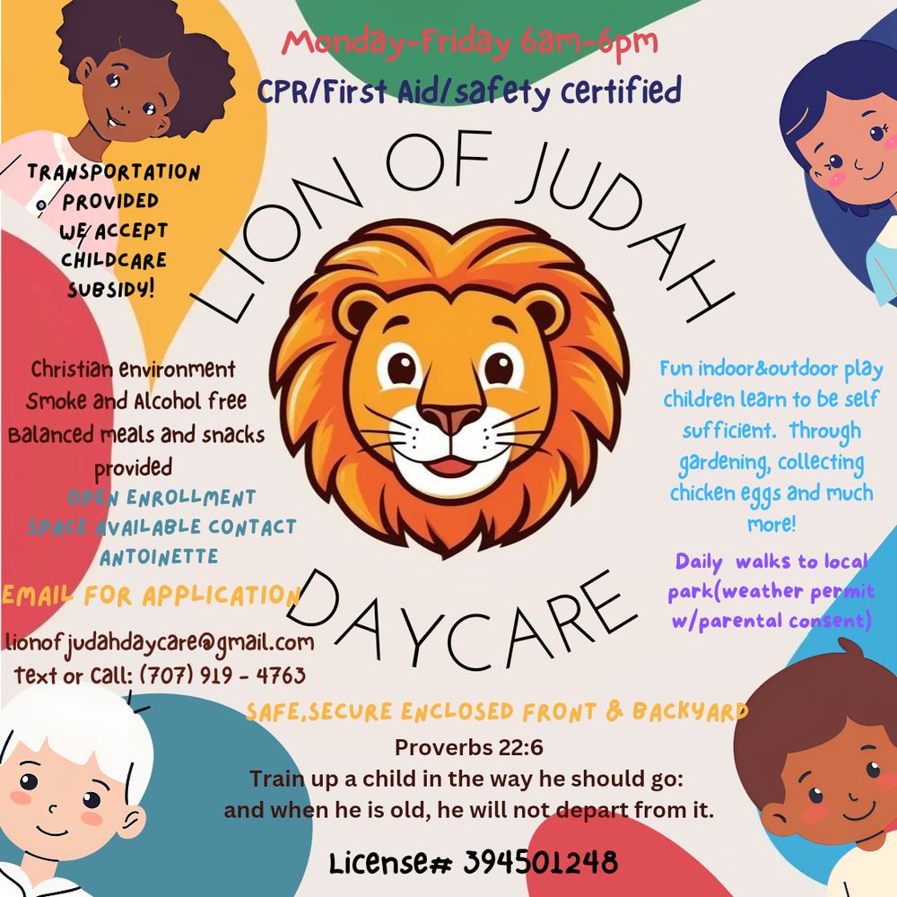 LION OF JUDAH - Updated January 2025 - Request Consultation - 12 Photos ...