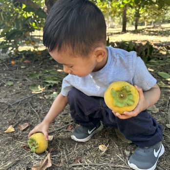 BAR 2 RANCH - Updated May 2025 - 68 Photos & 36 Reviews - 14797 Hwy 76 ...