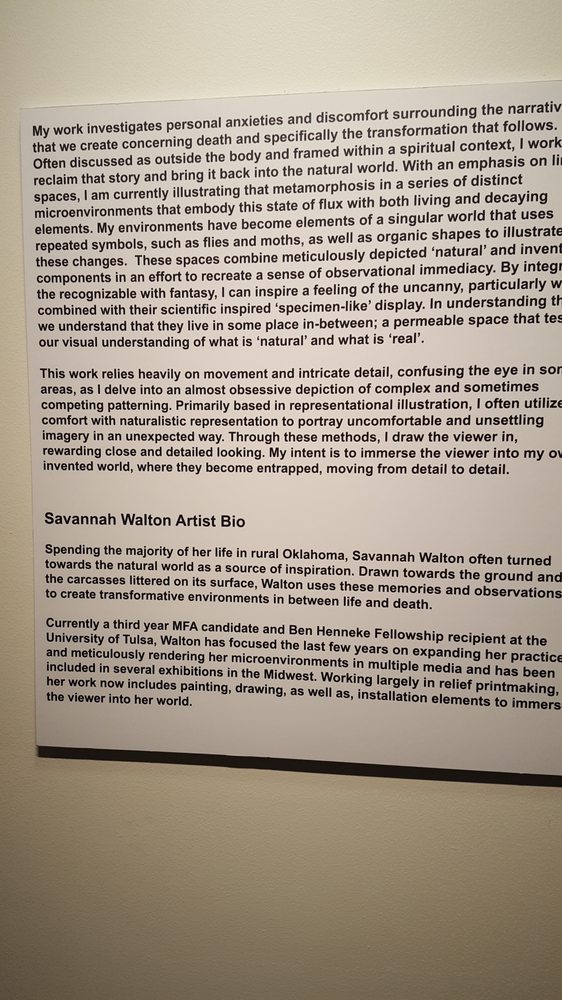 HENRY ZARROW CENTER FOR ART & EDUCATION | 13 Photos - 124 E Brady ...