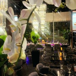 RUMI ROOM PERSIAN INDO-PAK CUISINE - Updated December 2025 - 337 Photos ...