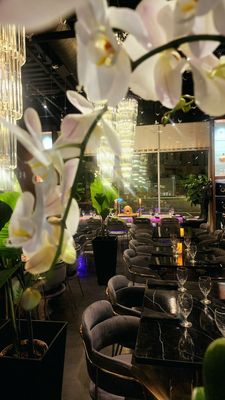 RUMI ROOM PERSIAN INDO-PAK CUISINE - Updated December 2025 - 326 Photos ...