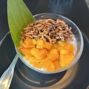 TAURUS OX - Updated January 2025 - 1074 Photos & 515 Reviews - 903 19th ...