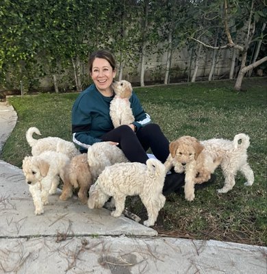 CALIFORNIA DOODLE RESCUE - Updated August 2025 - 73 Photos & 72 Reviews ...