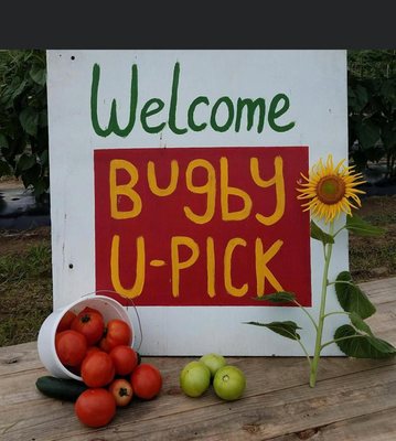 BUGBY PLANTATION U-PICK - Updated August 2025 - Bugby Plantation Rd ...