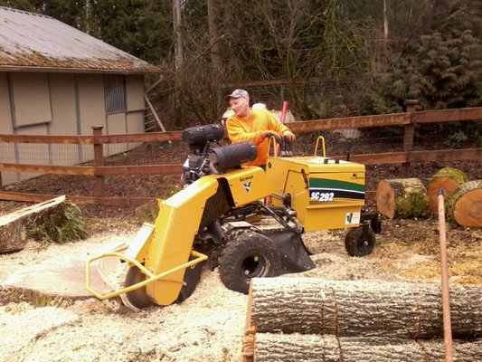 MILLERS TREE SERVICE-LONNY R. MILLER - Updated October 2025 - 16 Photos ...