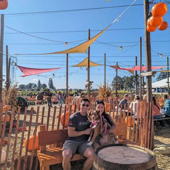 YESTERYEAR FARMS - TEMP. CLOSED - Updated July 2025 - 181 Photos & 99 ...