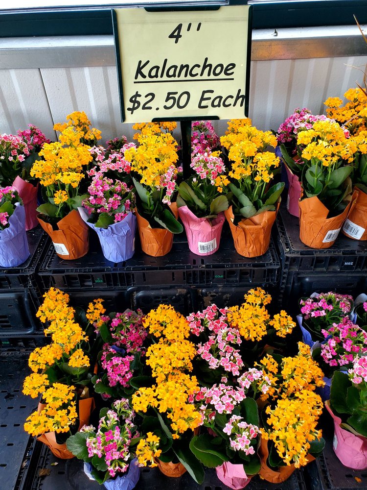 PRODUCE JUNCTION - Updated October 2025 - 33 Photos & 48 Reviews - 1350 ...