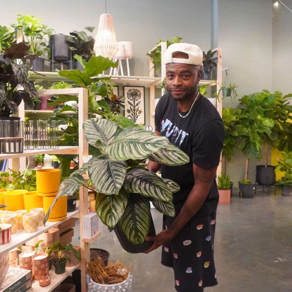 PLANTHOUSE - 24 Photos - 921 N St Asaph St, Alexandria, VA - Yelp