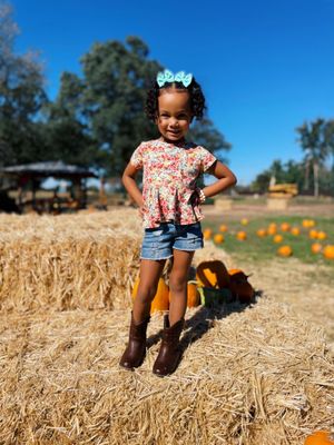 LITTLE FIELD FARMS - Updated January 2026 - 31 Photos & 16 Real Reviews ...