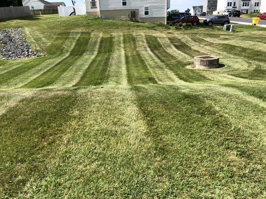 FIVE STAR LANDSCAPING - Updated October 2025 - Martinsburg, West ...