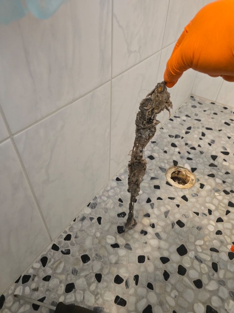 FREE FLO ROOTER & PLUMBING - Updated August 2024 - 29 Photos & 38 ...