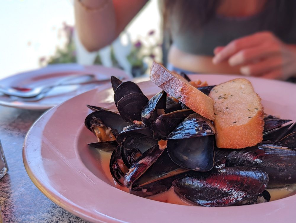 THE BLACK DOG PUB - Updated September 2025 - 65 Photos & 80 Reviews ...