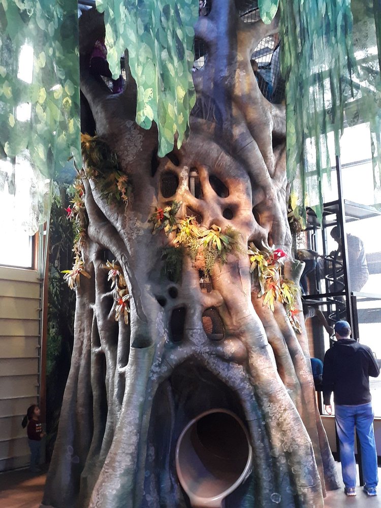 ZOOMAZIUM - 5500 Phinney Ave N, Seattle, Washington - Indoor Playcentre ...