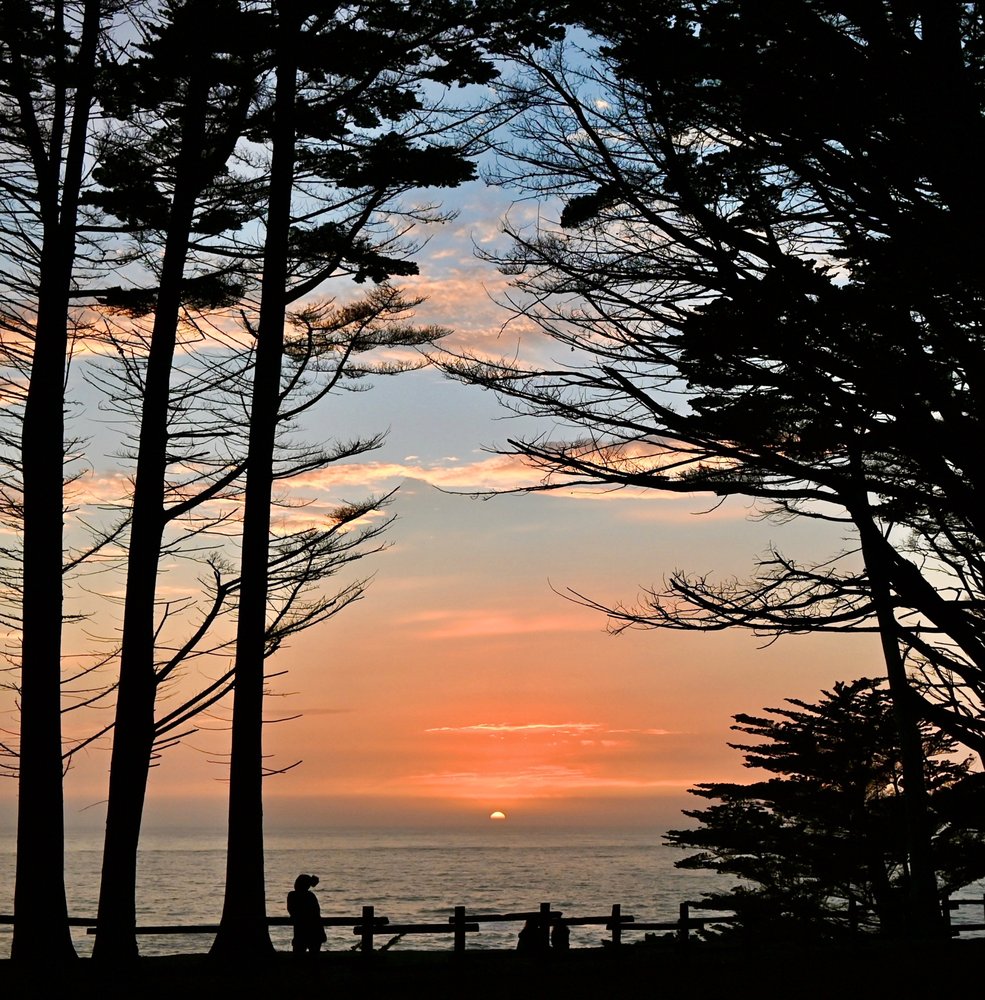 MOSS BEACH - 135 Photos & 41 Reviews - 800 N Lake St, Moss Beach ...