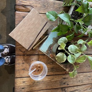 LUCKY TREE - 137 Photos & 103 Reviews - Art Galleries - 3801 ...