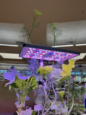 NORTH LAS VEGAS LIBRARY DISTRICT - ALIANTE LIBRARY - Updated August ...