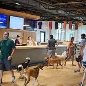 SKIPTOWN - 157 Photos & 92 Reviews - 222 Rampart St, Charlotte, North ...