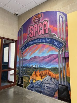 SPCA OF NORTHERN NEVADA - Updated January 2026 - 90 Photos & 78 Reviews ...
