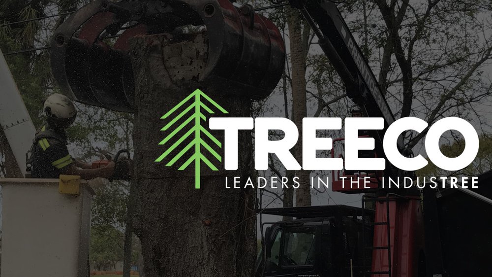 TREECO FL - ST AUGUSTINE - Updated July 2025 - 267 Big Oak Rd, St ...