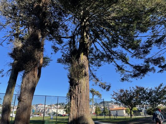 PARKSIDE SQUARE - Updated December 2024 - 61 Photos & 27 Reviews - 28th ...