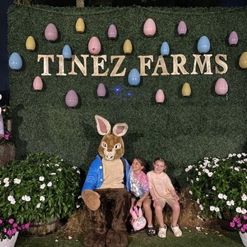 TINEZ FARMS - Updated March 2025 - 336 Photos & 59 Reviews - 16405 SW ...