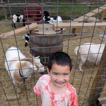 SCREAMING GOAT YARD & TAP - Updated December 2025 - 439 Photos & 294 ...