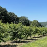 HOLMBERG ORCHARDS - 233 Photos & 80 Reviews - 12 Orchard Ln, Gales ...