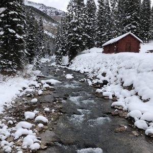 JACKSON HOLE / SNAKE RIVER KOA - 49 Photos & 83 Reviews - 9705 S Hwy 89 ...