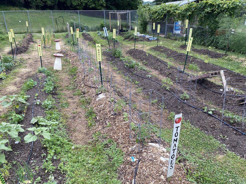 CRAFTON PARK - Updated October 2025 - 17 Photos - 15 Afton Ave, Crafton ...